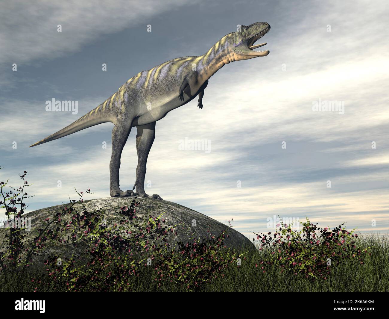 Aucasaurus dinosaur standing and roaring on a rock by day Stock Photo ...