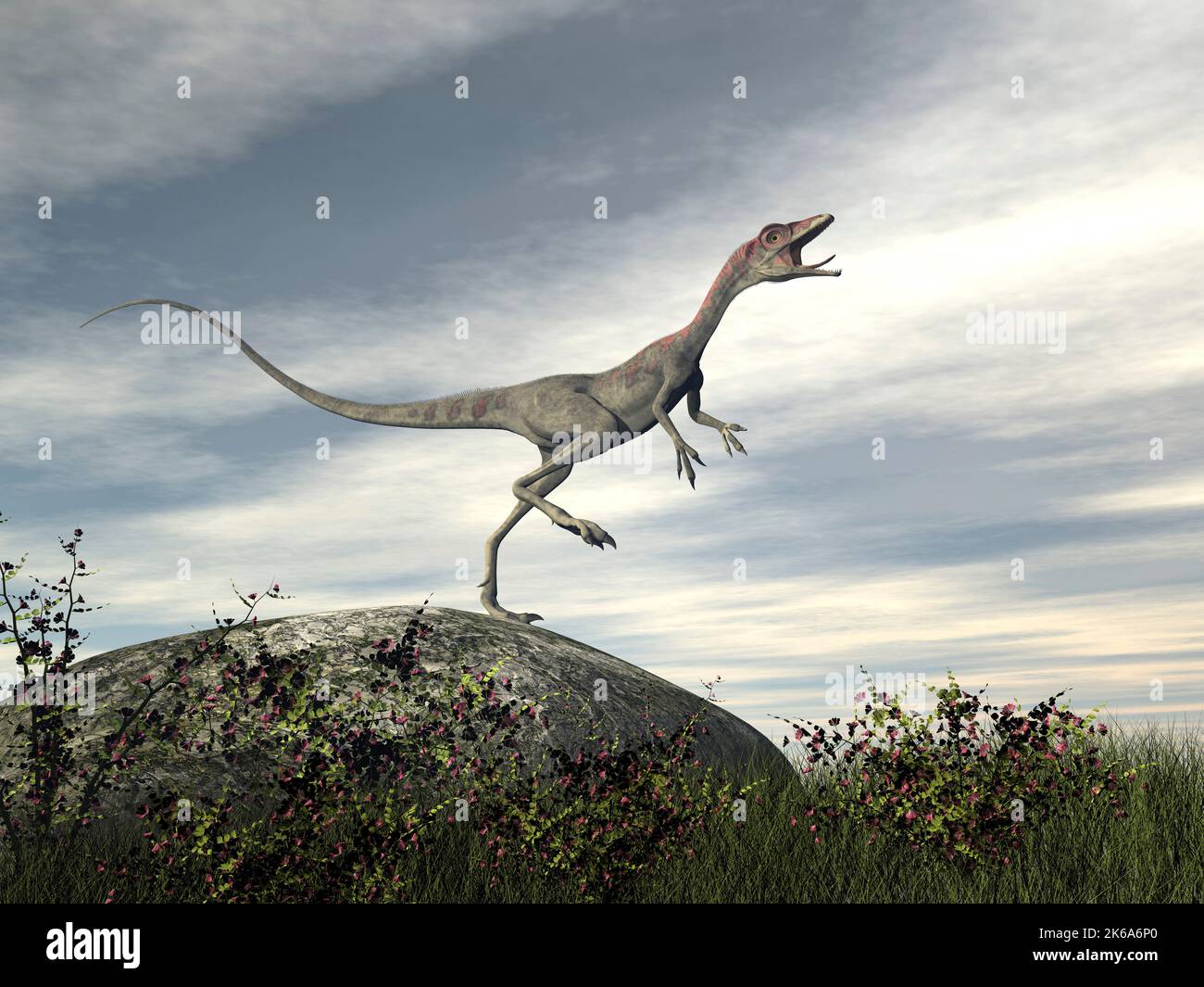 Compsognathus dinosaur standing on top of a rock on a cloudy day Stock ...
