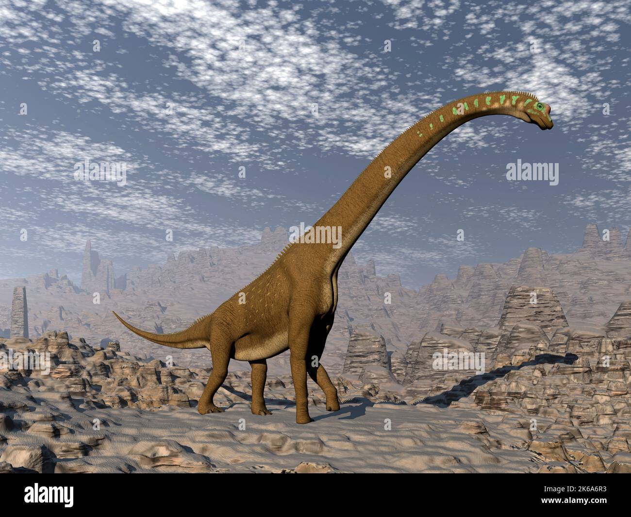 Giraffatitan dinosaur walking on rough terrain Stock Photo - Alamy