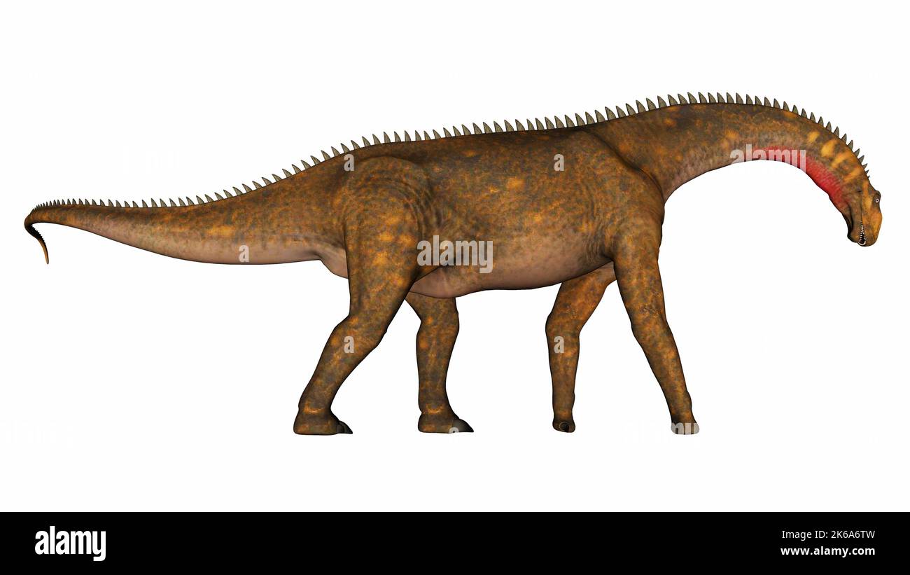 Mierasaurus dinosaur walking, isolated on white background Stock Photo ...