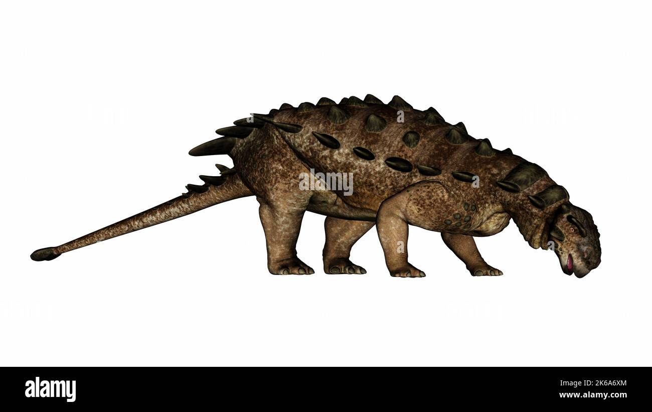Dinosaur King Pinacosaurus
