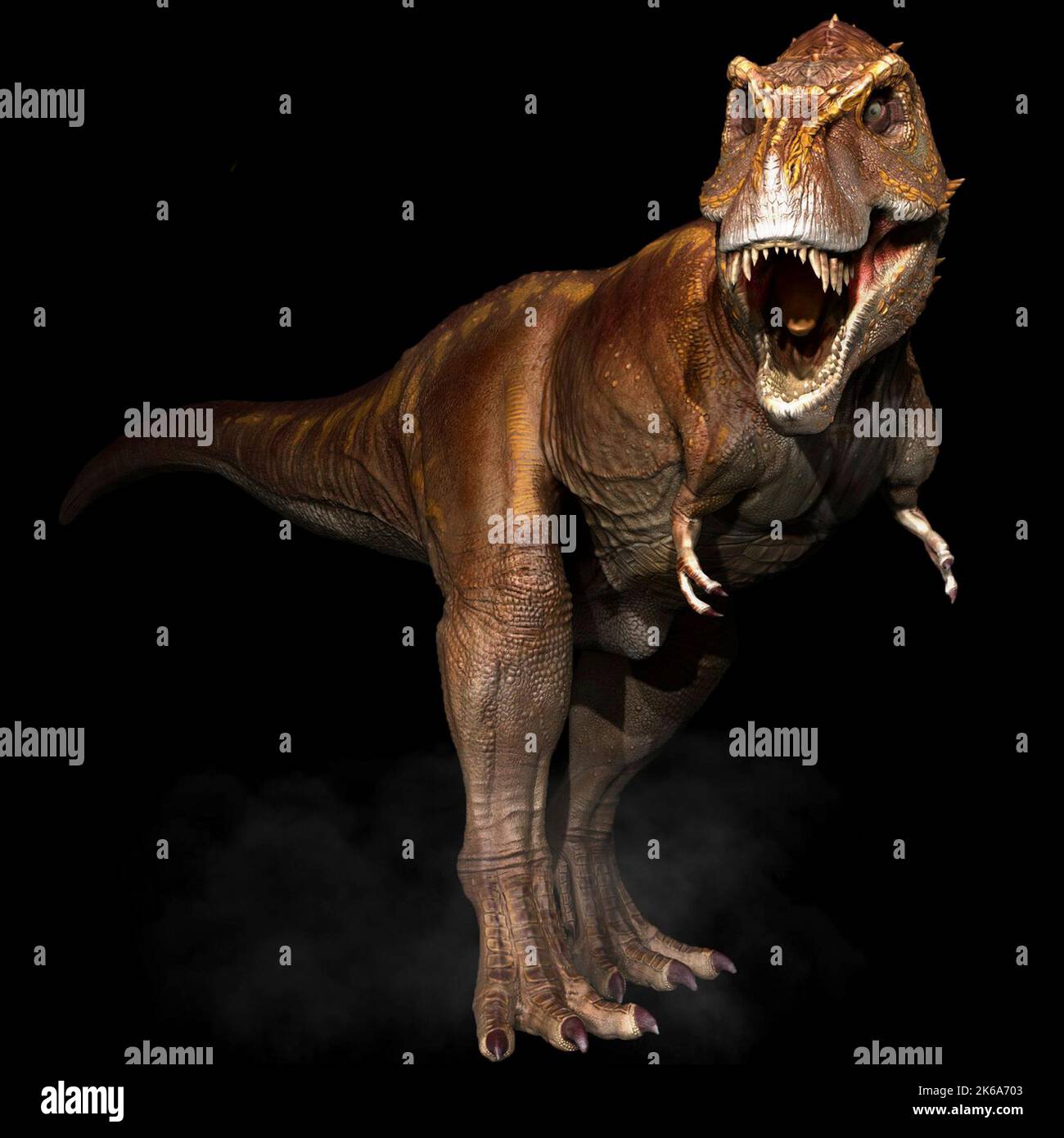 Tyrannosaurus rex dinosaur on black background Stock Photo - Alamy