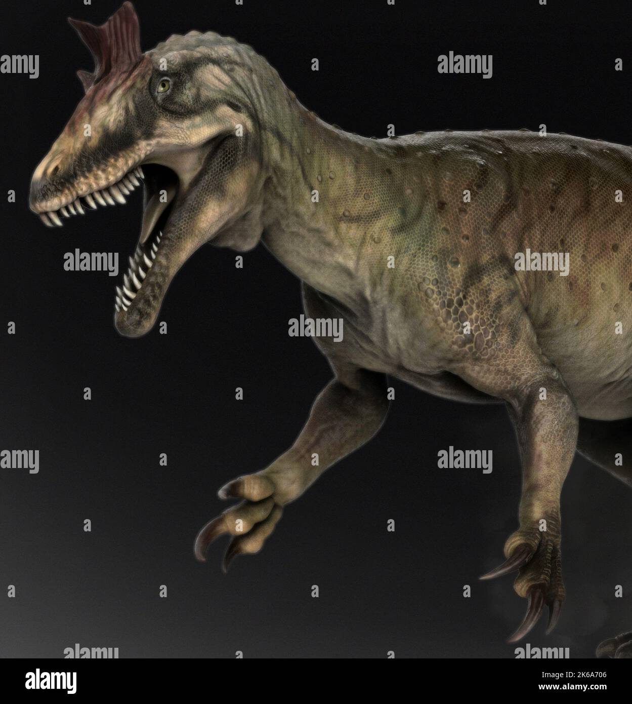 Crylophosaurus dinosaur, profile view Stock Photo - Alamy