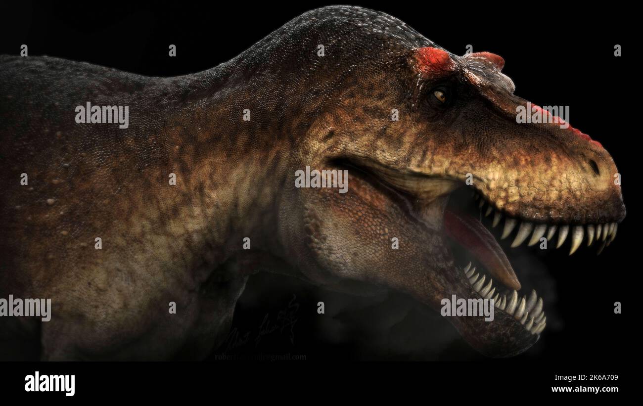 Side view tyrannosaurus rex dinosaur hi-res stock photography and ...