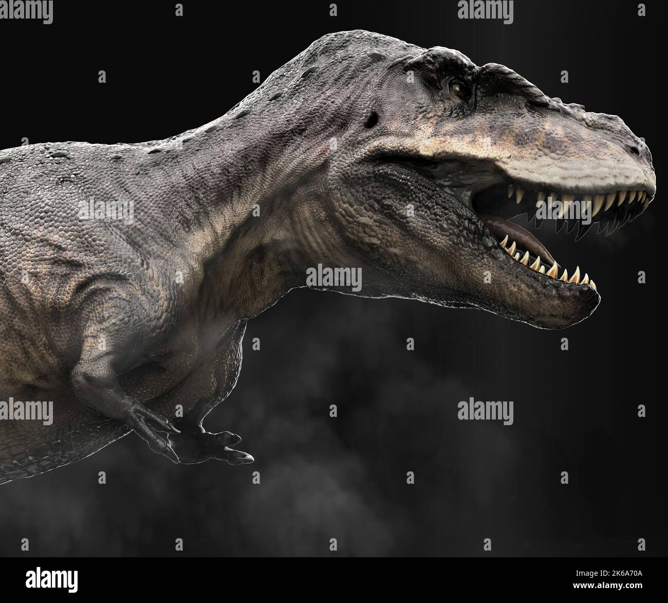Tarbosaurus dinosaur, profile view Stock Photo - Alamy