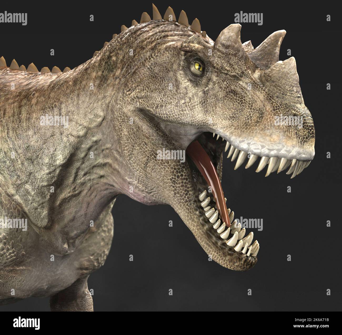 Ceratosaurus dinosaur roaring, close-up Stock Photo - Alamy