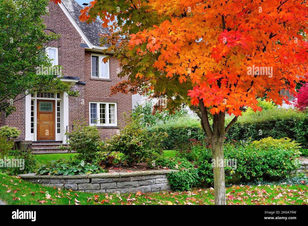 Brilliant red hi-res stock photography and images - Alamy