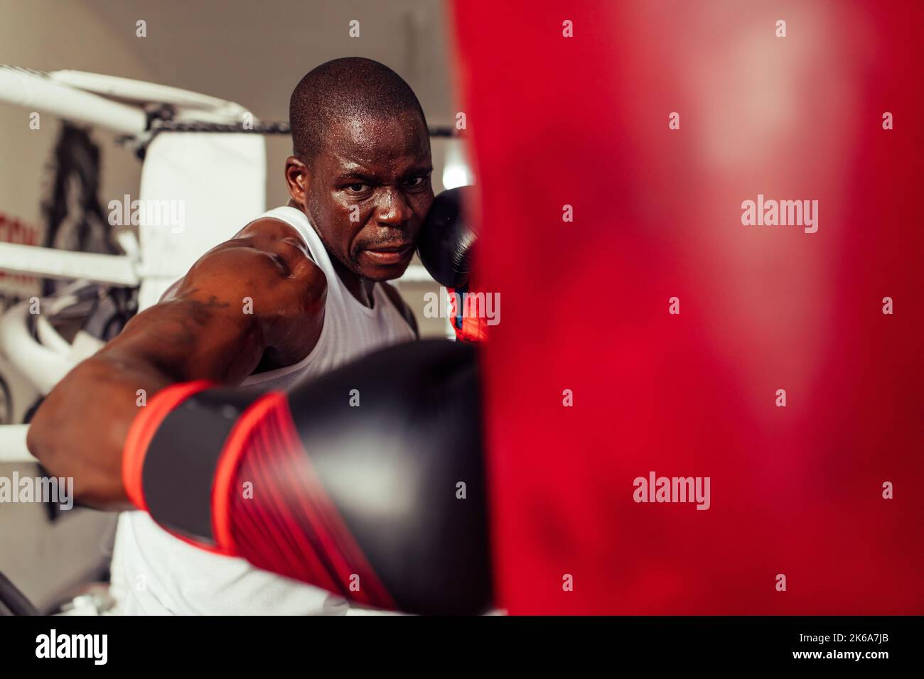 Boxer striking a red punching bag with one gloved fist in a gym. Sweaty ...