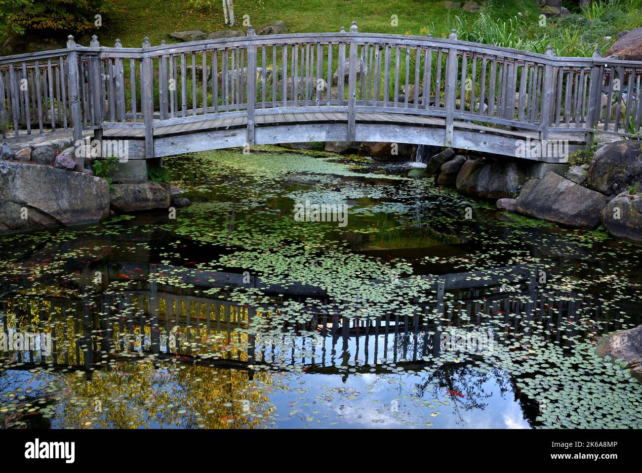 Bridge over the lily pond hi-res stock photography and images - Alamy