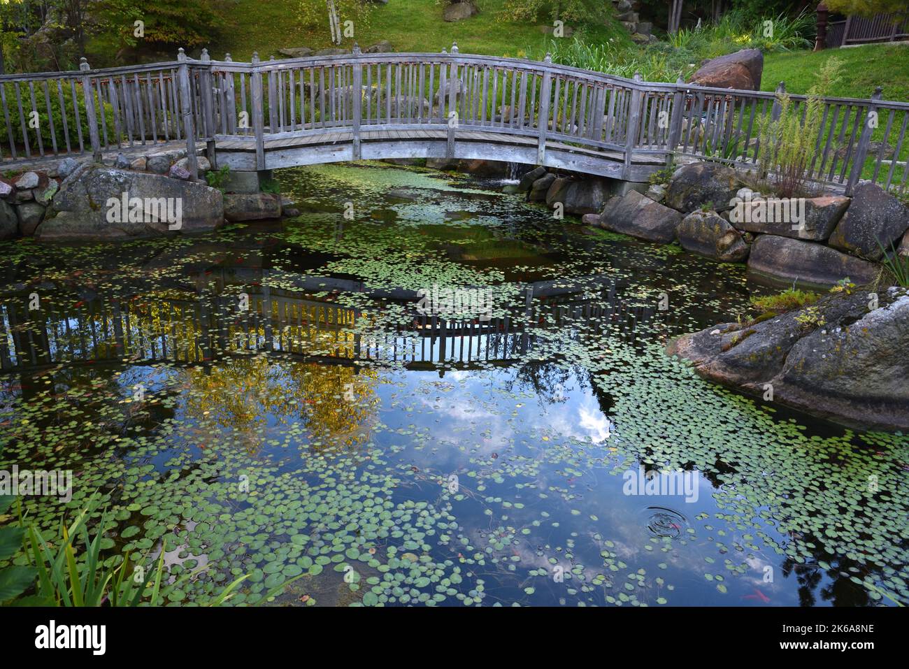 Bridge over koi pond Stock Photo - Alamy