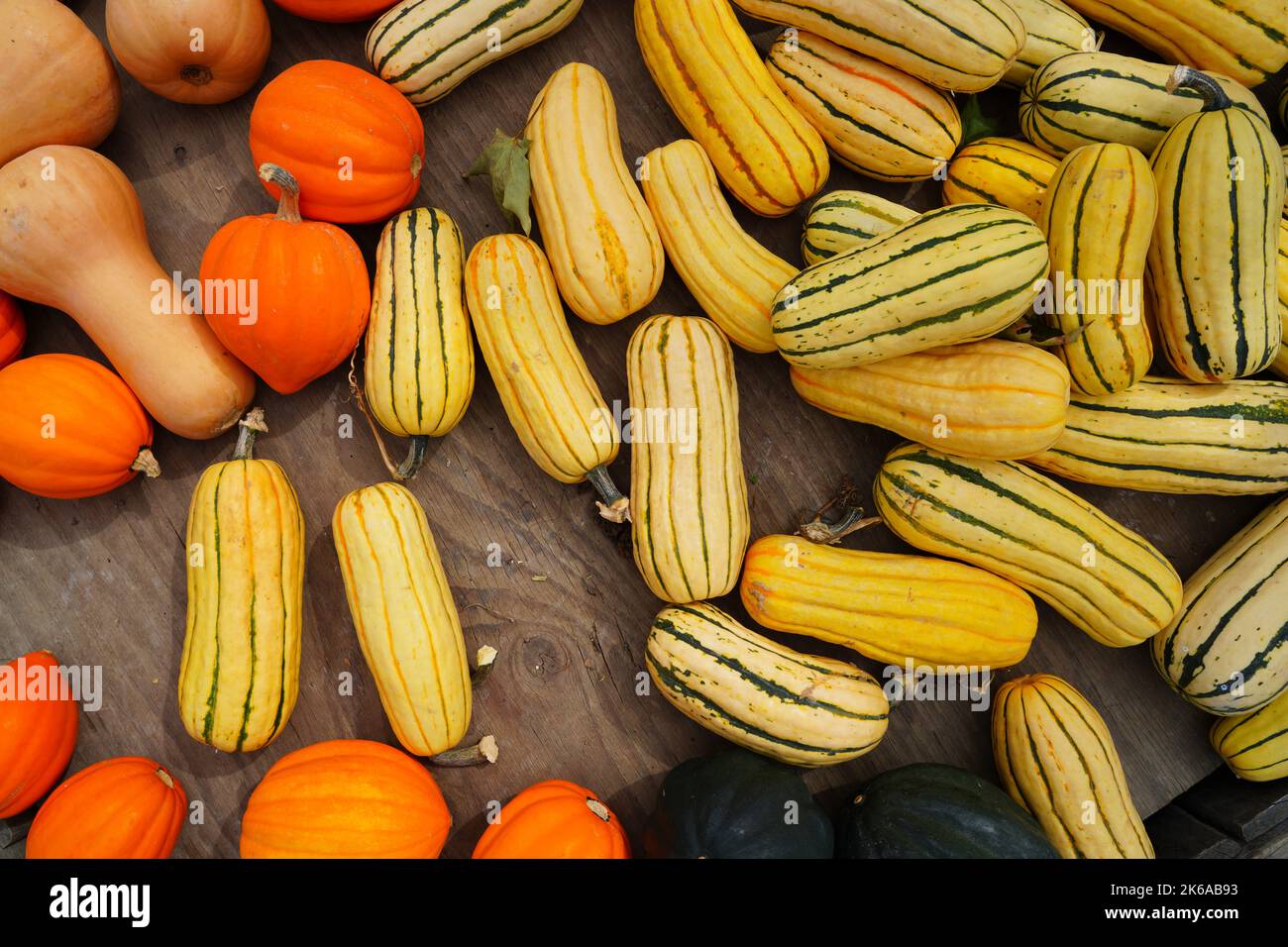 Yellow and green striped squash hi-res stock photography and images - Alamy