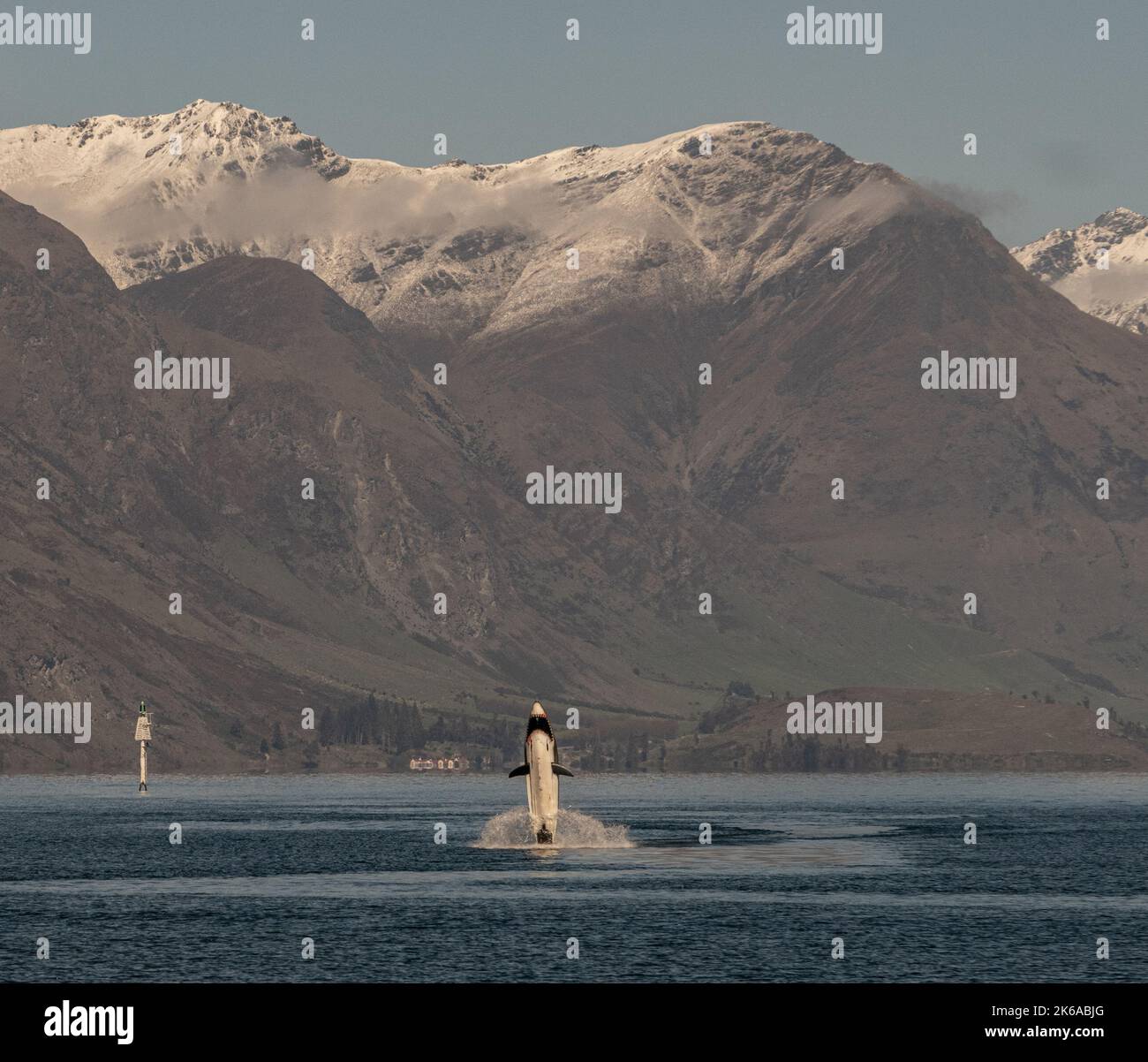 Lake Wakatipu New Zealand Stock Photo - Alamy