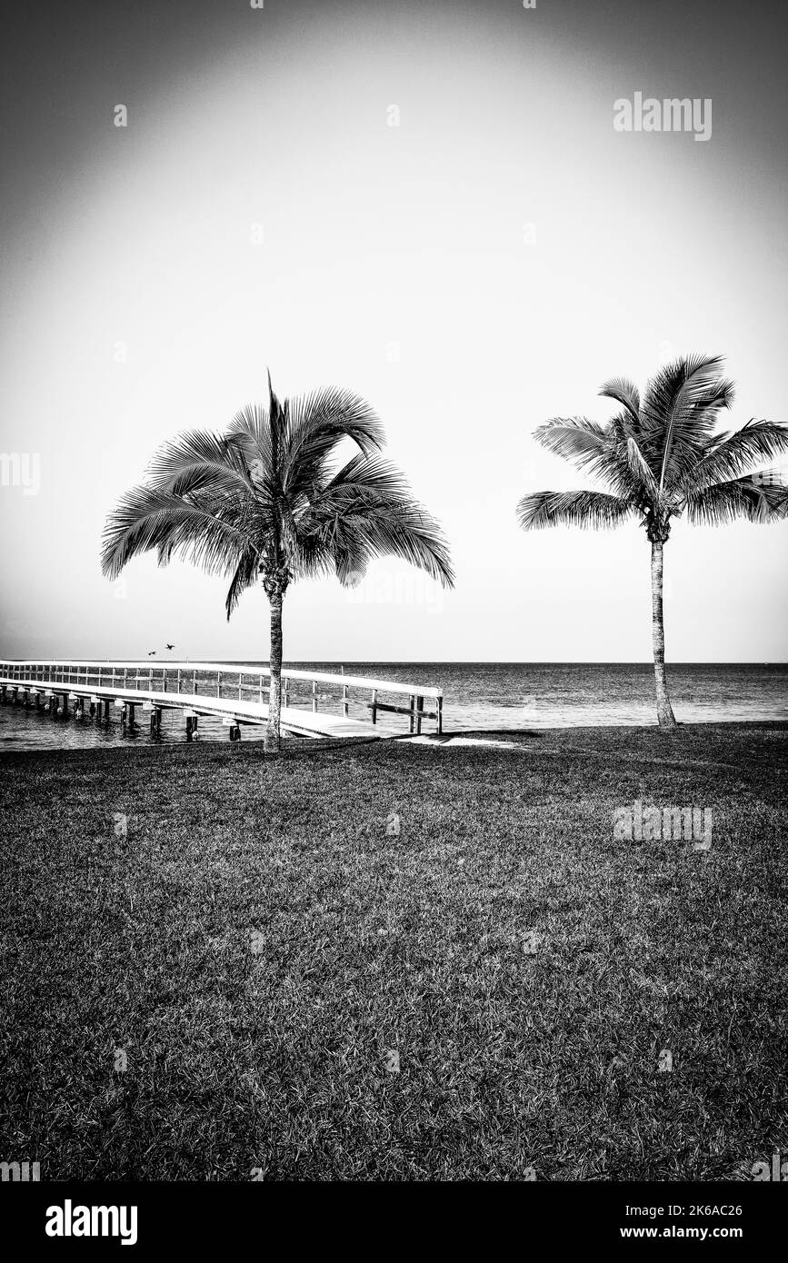 A serene vertical view over the Charlotte Harbor of a wooden pier and ...