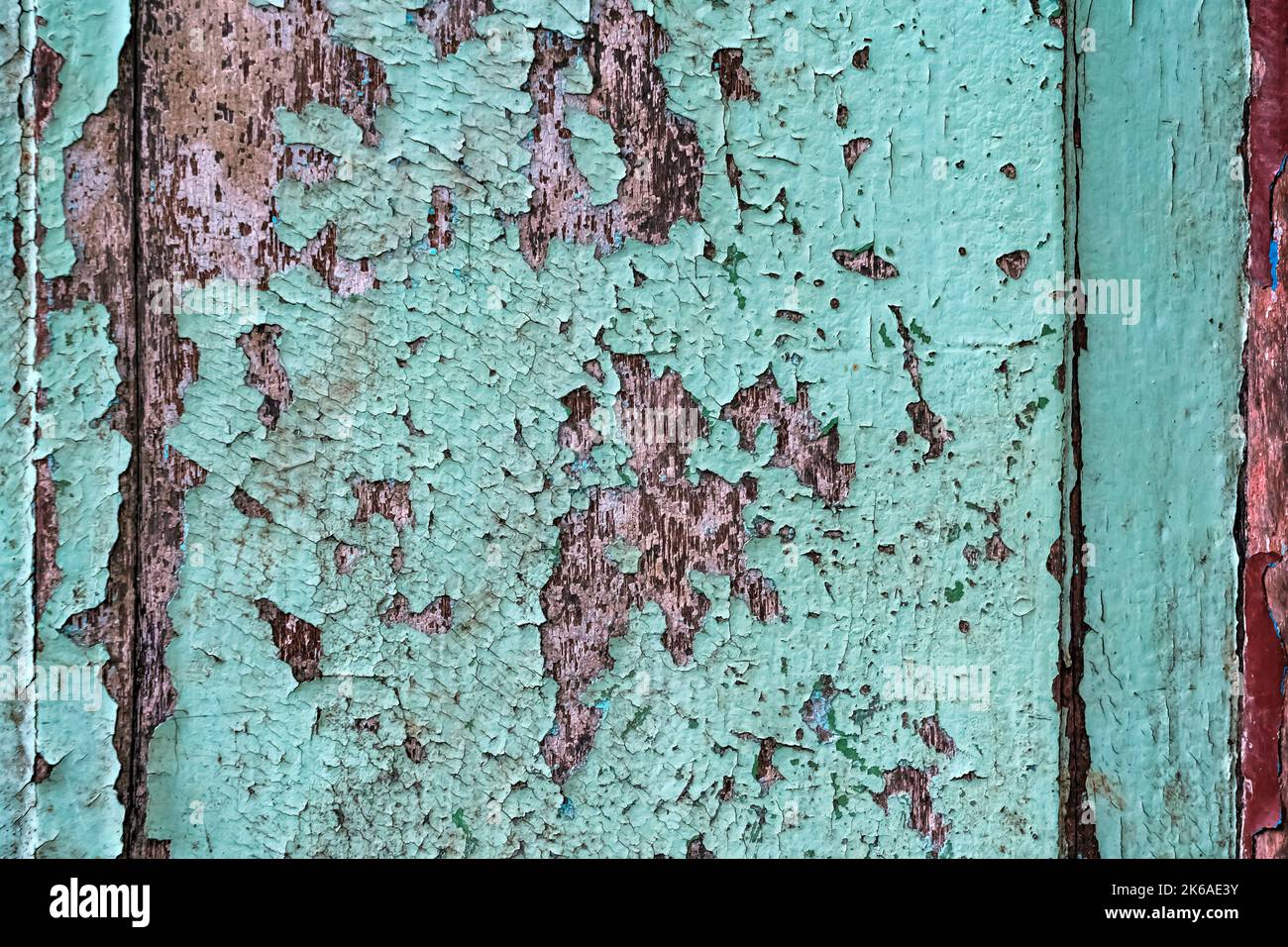 Colorful craquelure of the delaminated paint on wooden door background ...
