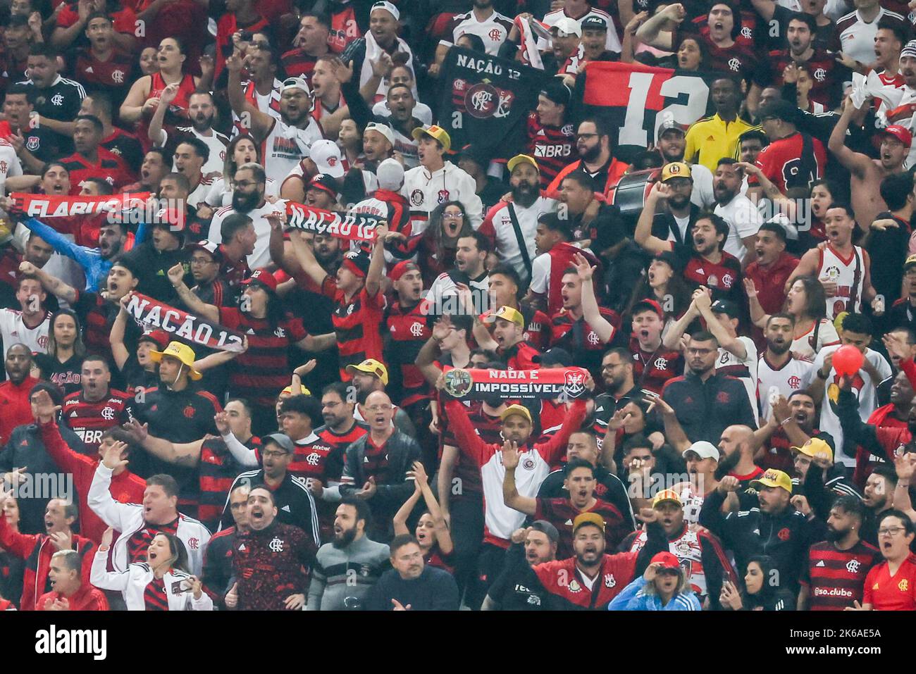 Sao Paulo, Brazil. 13th Oct, 2022. SP - Sao Paulo - 10/12/2022 - COPA ...