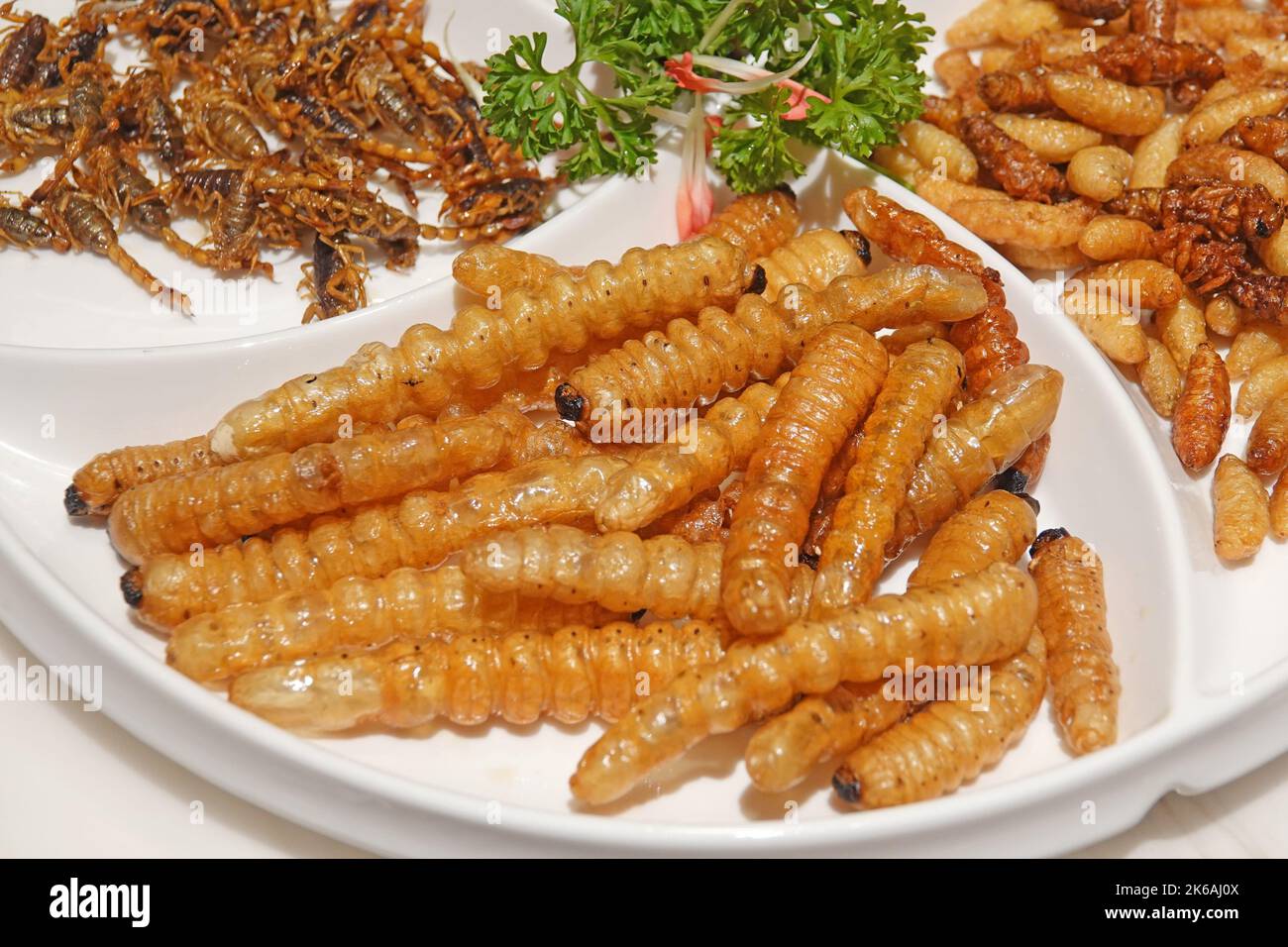 Silkworm pupae as food hi-res stock photography and images - Alamy