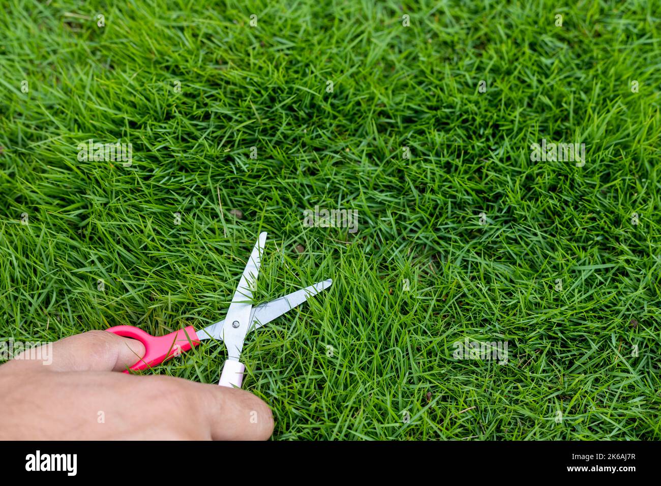 Cutting grass by hand hi-res stock photography and images - Alamy