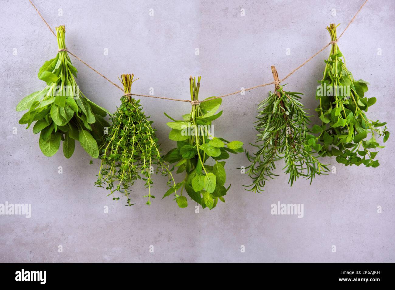 A closeup of different types of greens hanging from rope in white ...