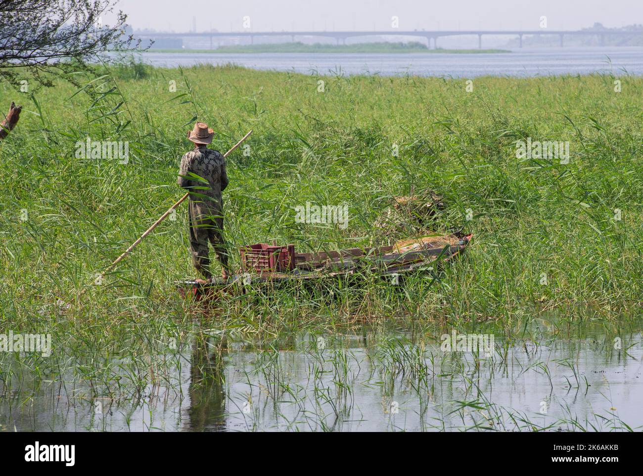 Traditional egyptian bedouin fisherman punting in rowing boat on river ...