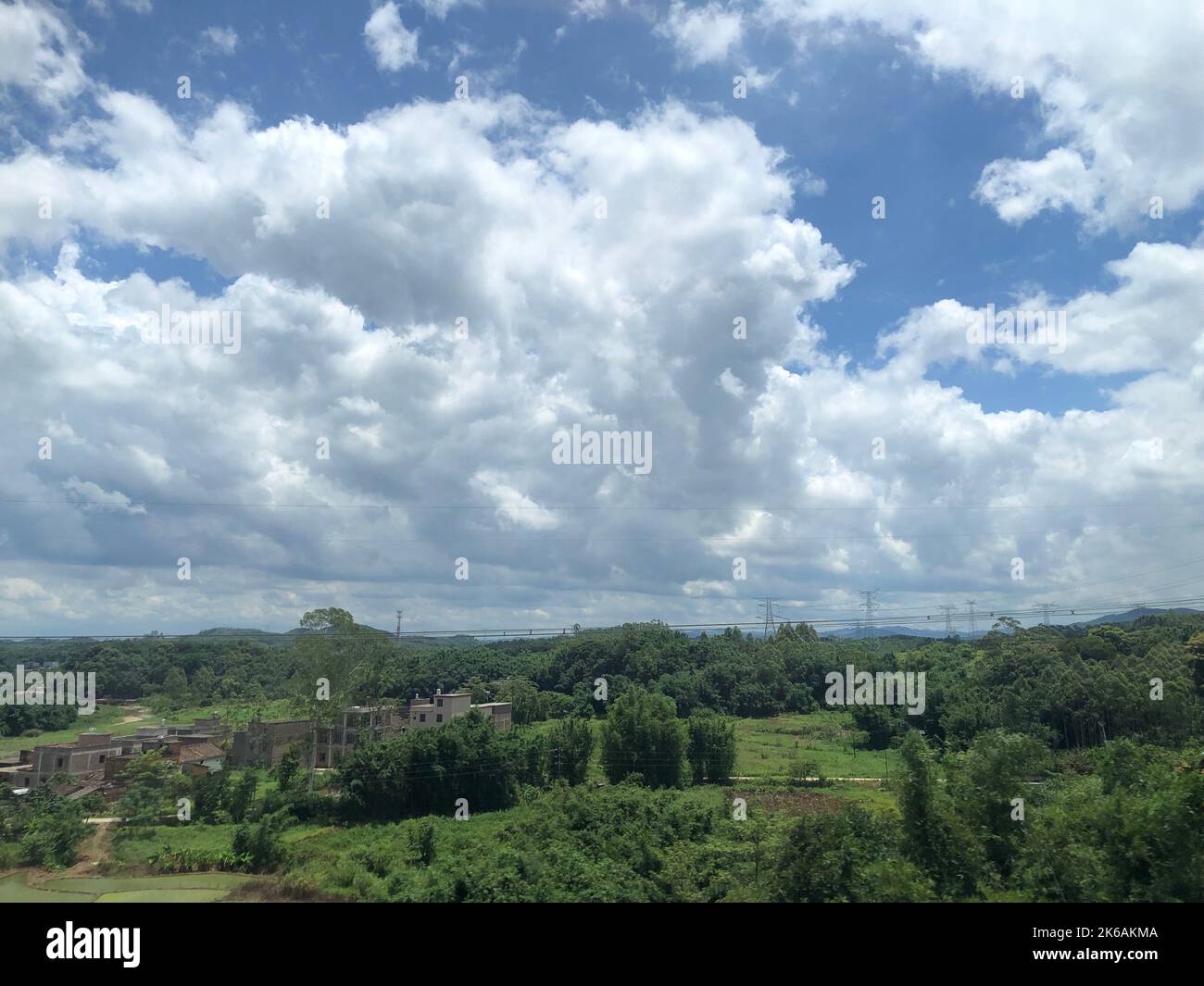 An aerial view of greenery field surrounded by dense trees and ...