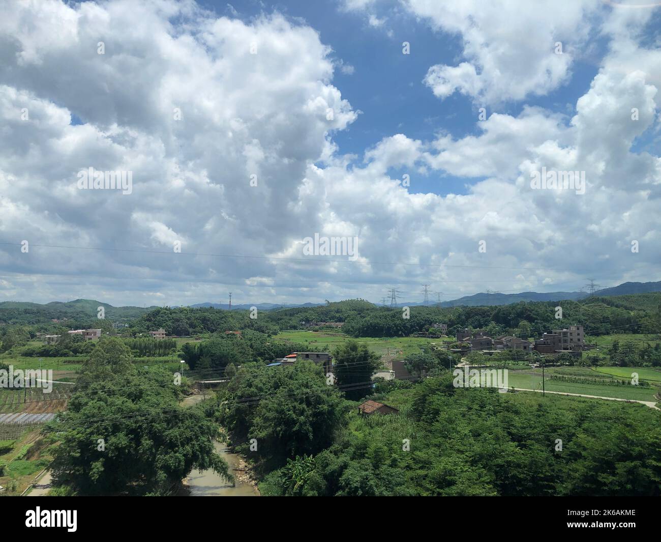 An aerial view of greenery field surrounded by dense trees Stock Photo ...