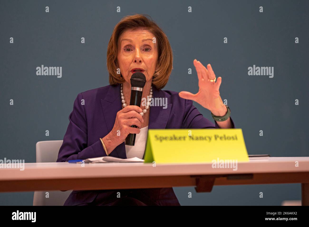 NEW YORK, New York - OCTOBER 12: House Speaker, U.S. Representative Nancy Pelosi (D-CA) speaks ...
