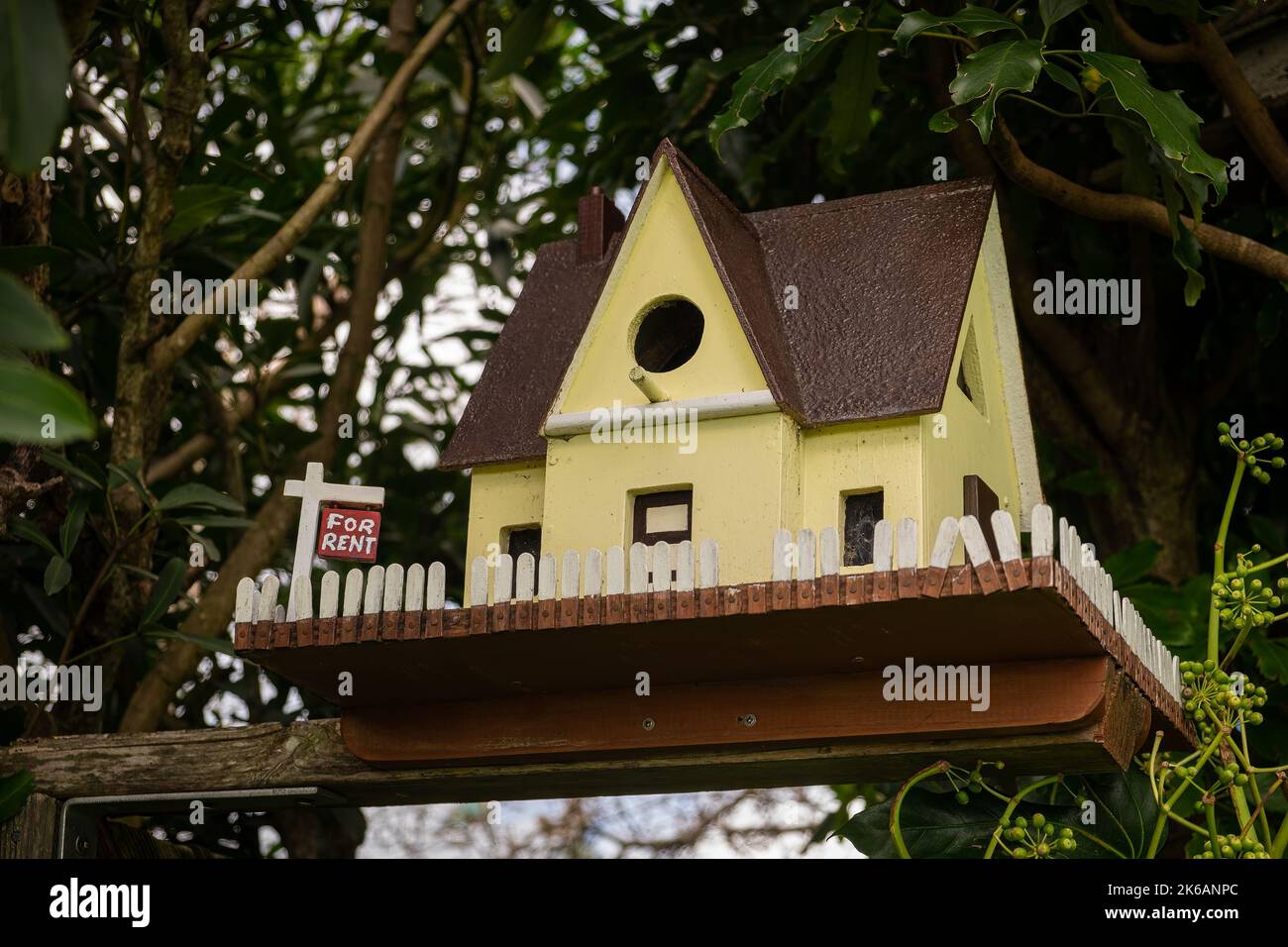 A birdhouse house on tree with 'for rent' sign Stock Photo - Alamy