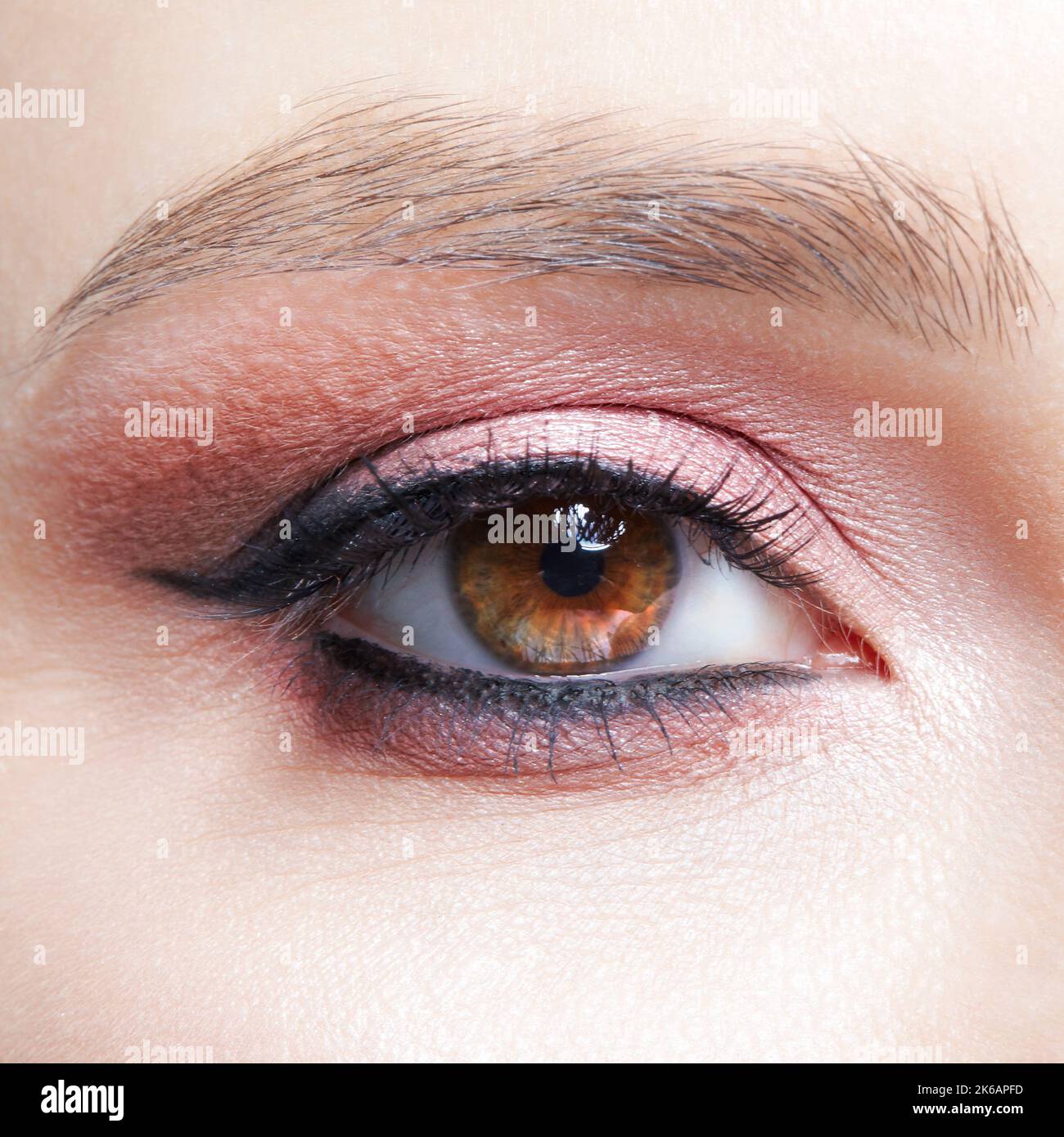 Closeup macro shot of human female brown color eye. Woman with natural ...