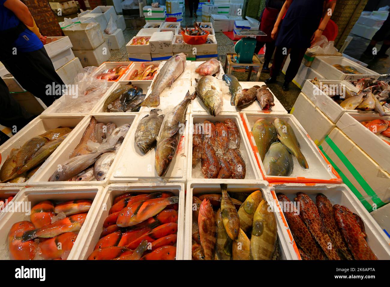 Kanzaiding Fish Market (a mid-night market) in Keelung, Taiwan Stock ...