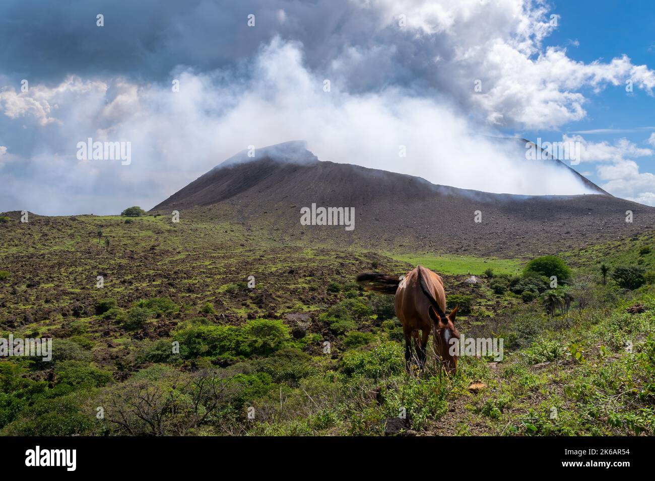 An aerial view of Telica volcano crater behind grazing horse under blue ...
