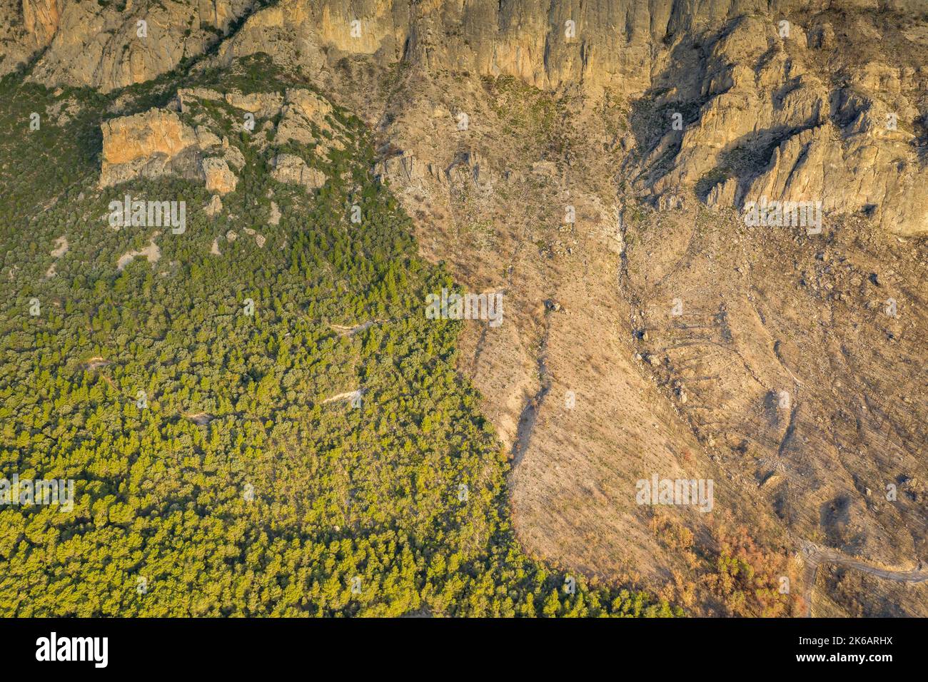 Aerial view of the forest burned in the Oliana - Peramola fire of 2022 ...