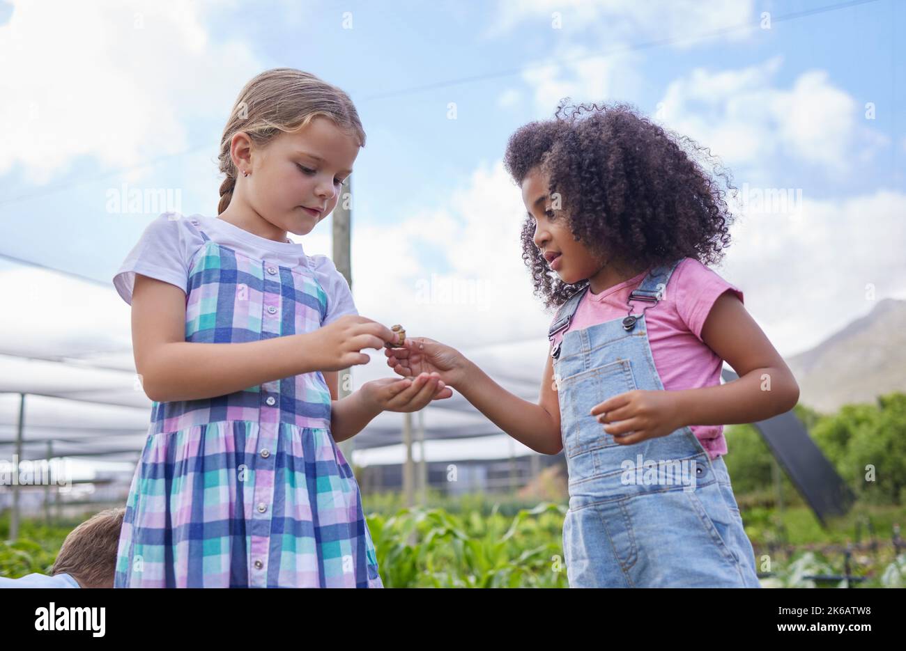 Two children on a farm hi-res stock photography and images - Alamy
