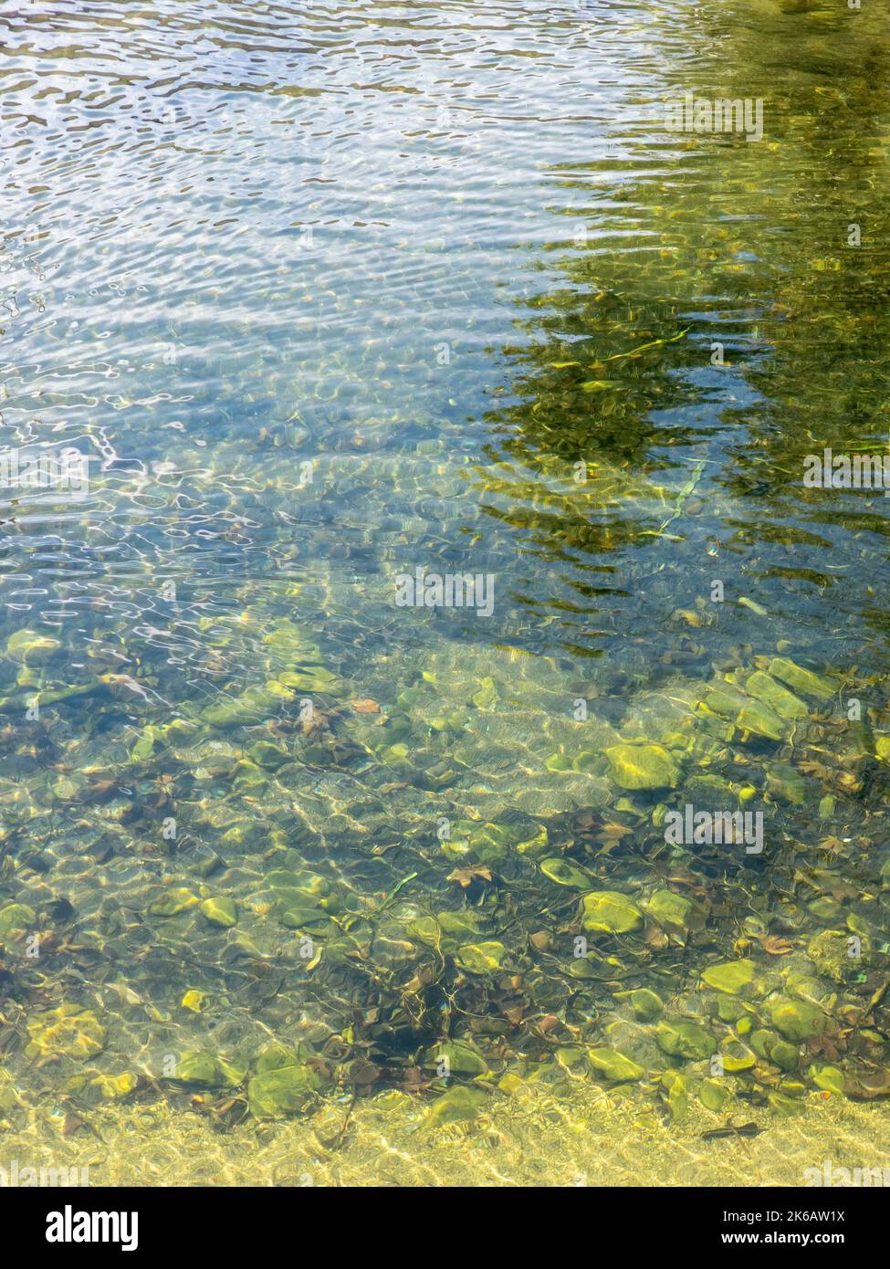 Sea water on underwater turquoise pebbles and plants background ...