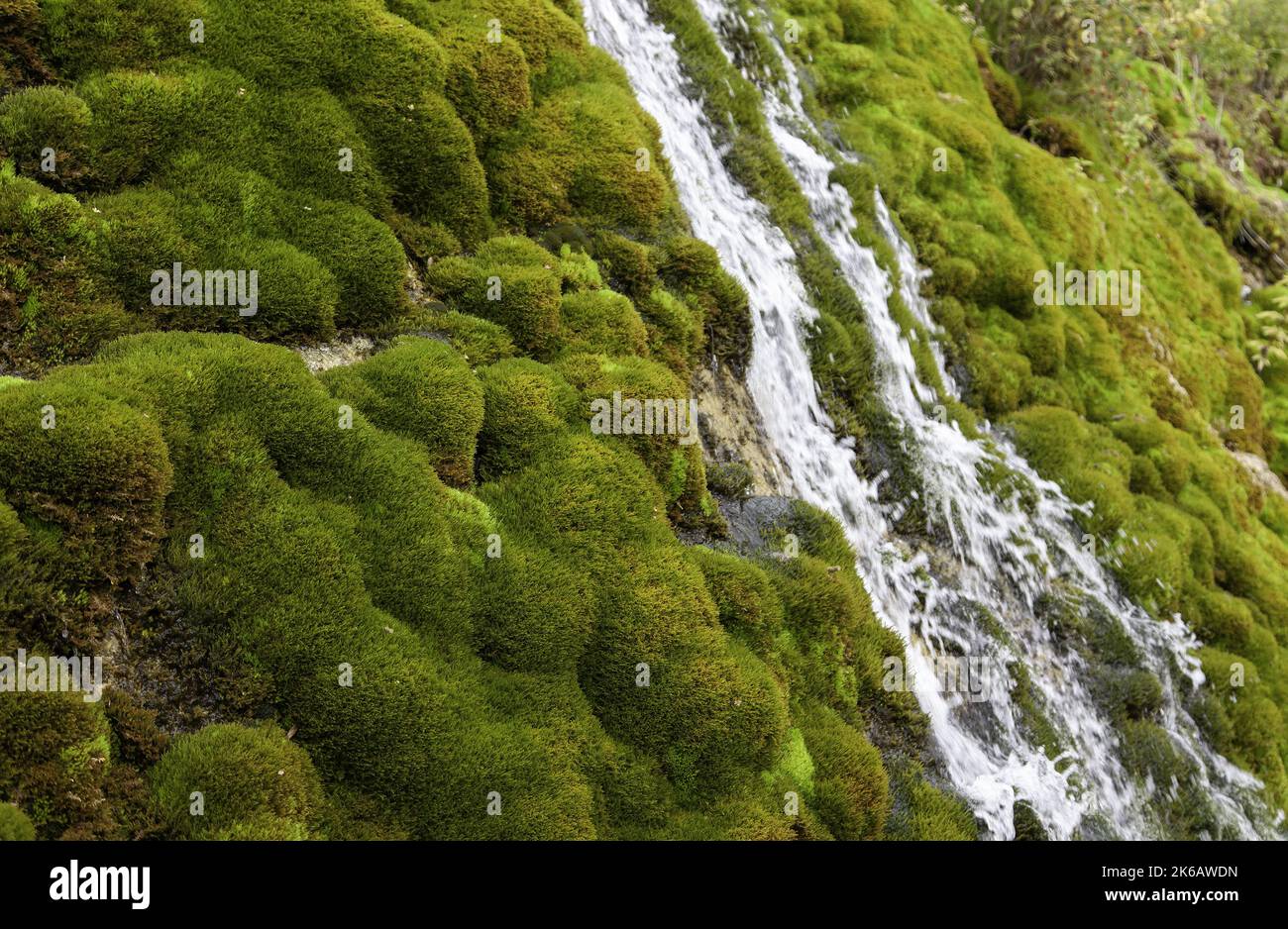 Detail of natural water fall in nature, environment Stock Photo - Alamy