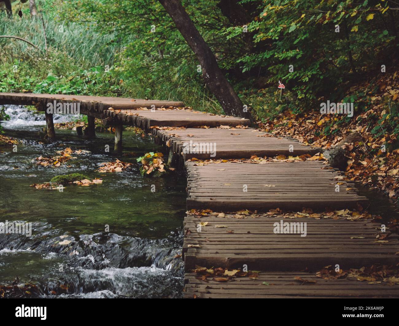A wooden footbridge over shallow river in the lush green forest with ...
