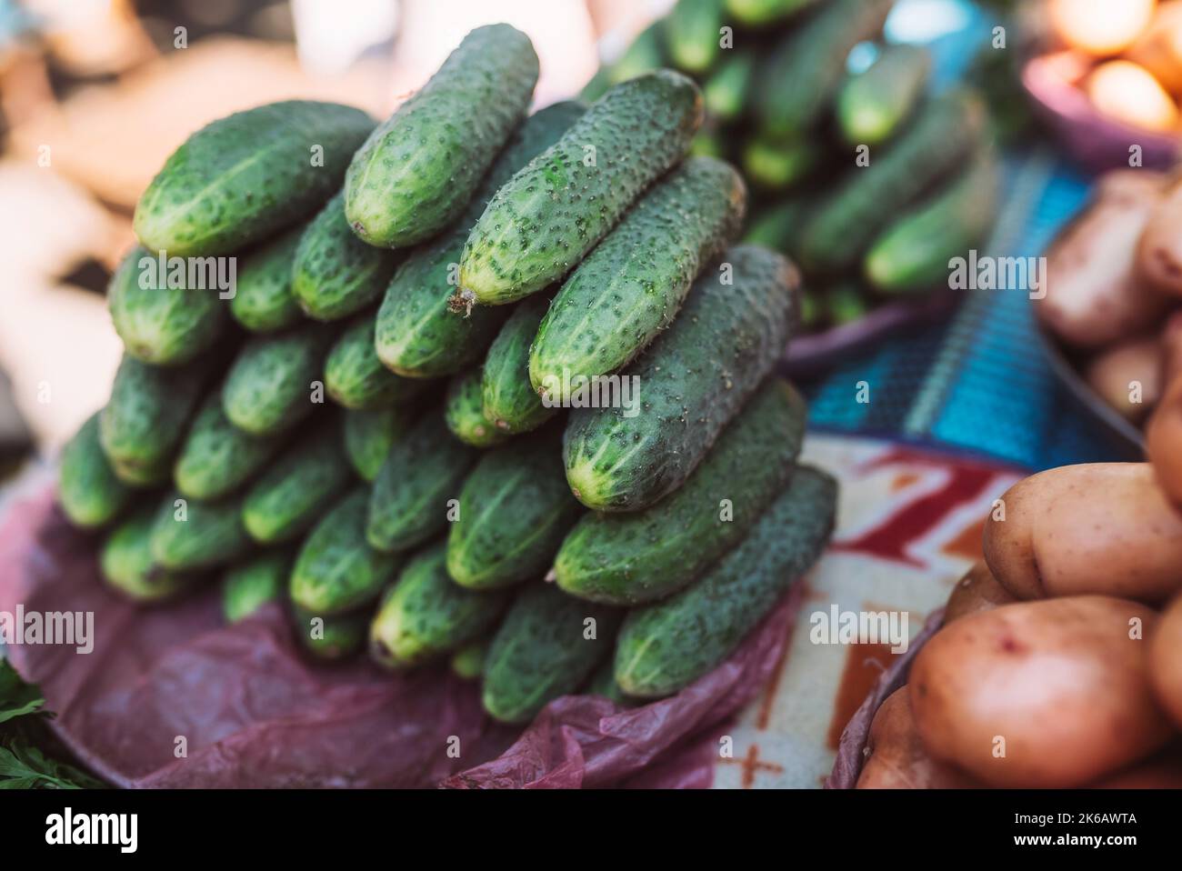 Shelf cucumber close up hi-res stock photography and images - Alamy