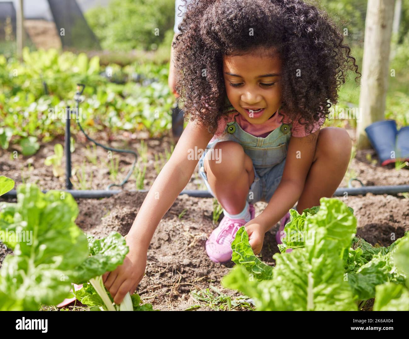 She loves working on the farm. Full length shot of an adorable little ...