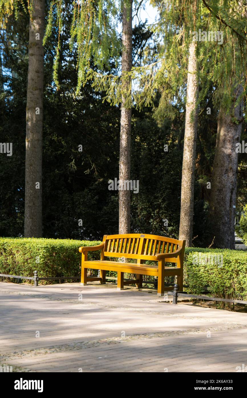Green wooden bench in the park on sunny day in autumn spring summer ...