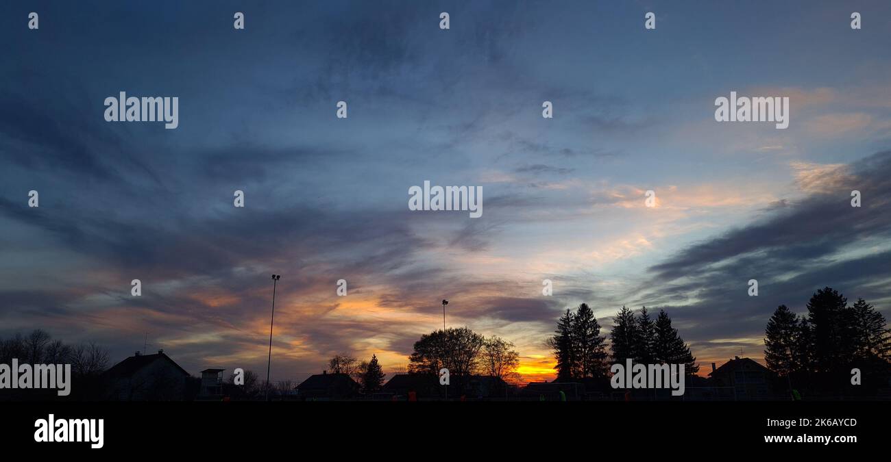 A silhouette of growing trees during sunset Stock Photo - Alamy