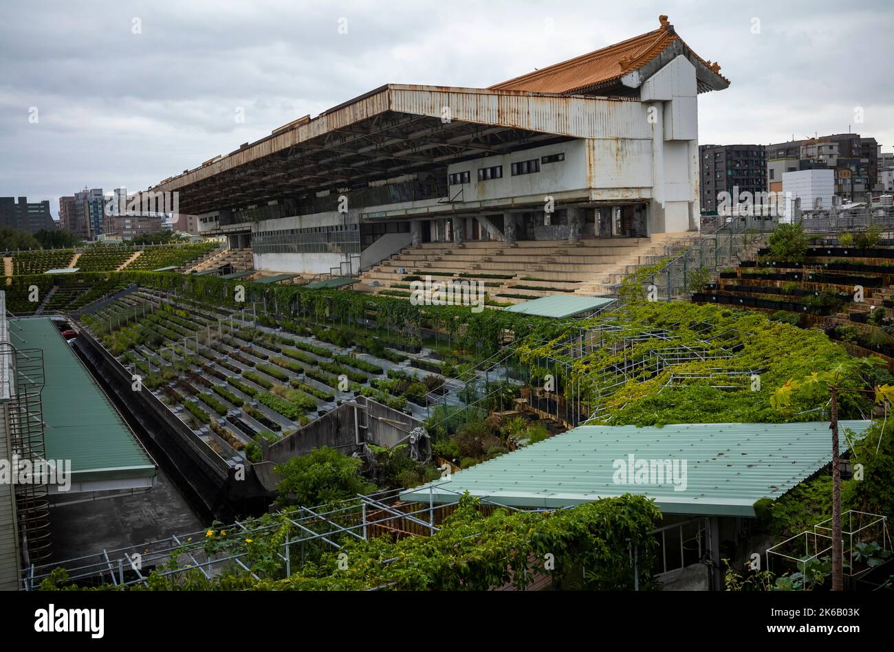 Taipei. 11th Oct, 2022. Plants overgrow the closed Zhongshan Football ...