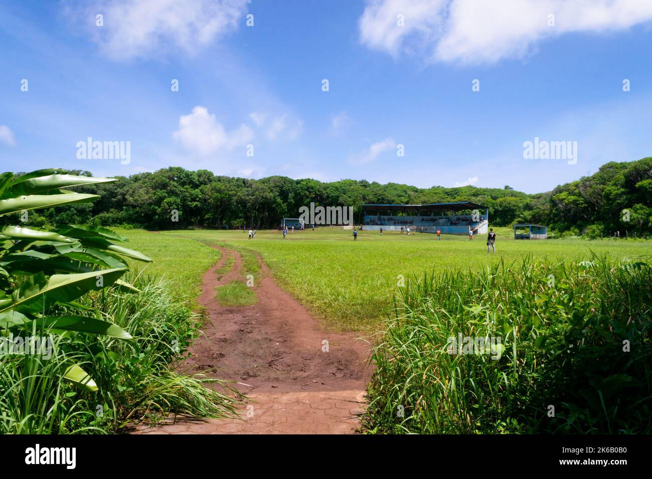 Baseball players on playing field Stock Photo - Alamy