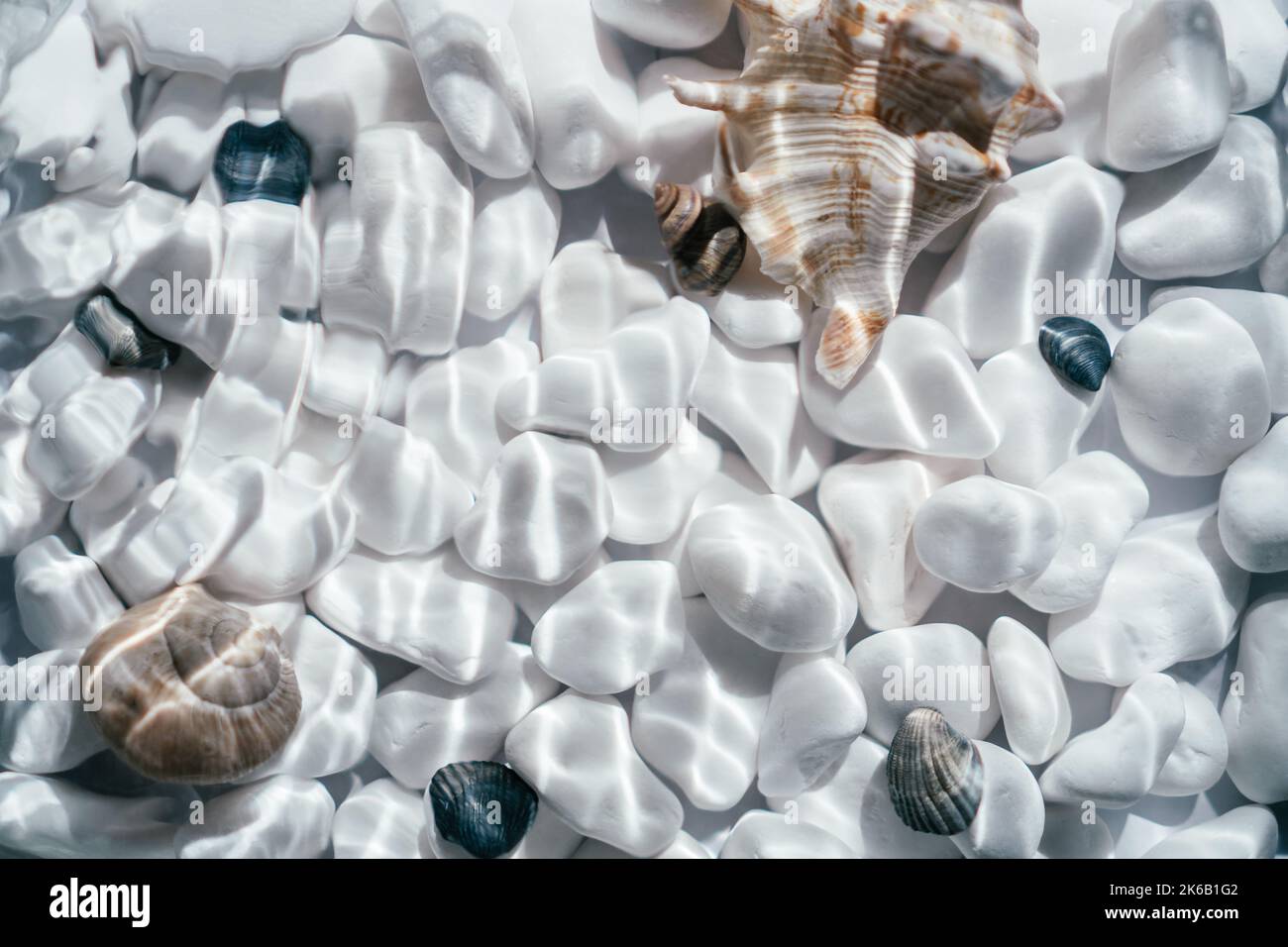 Creative background abstract image of medium-sized white black rounded ...