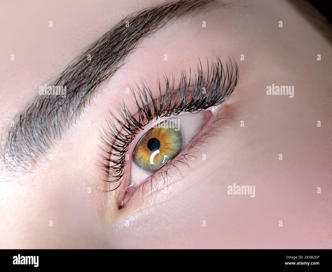 Close up of eyelash Extensions in beauty salon macro eye Stock Photo ...