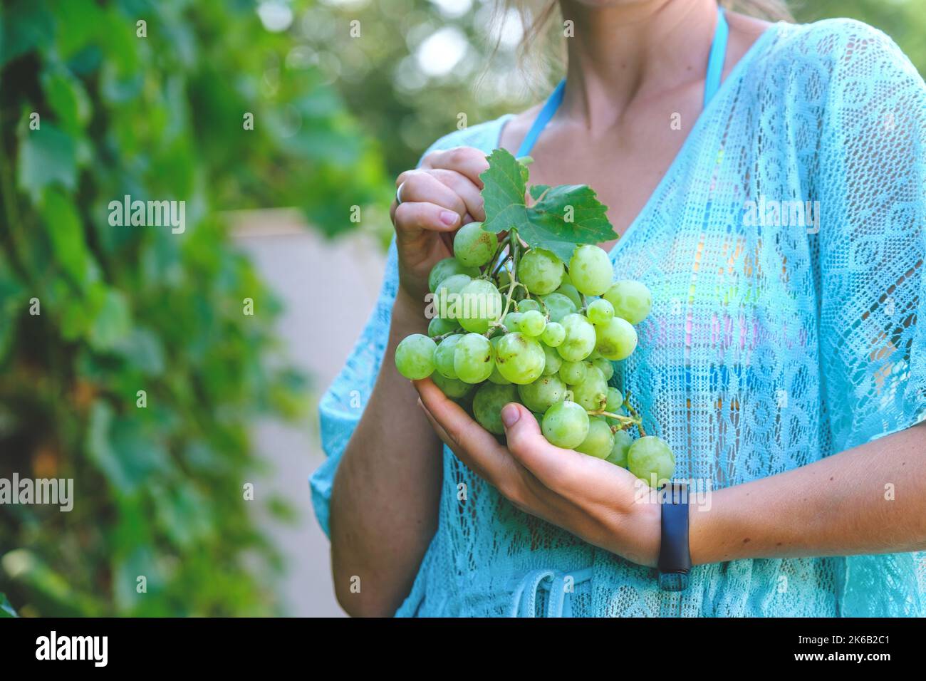 Off the branch farm hi-res stock photography and images - Alamy