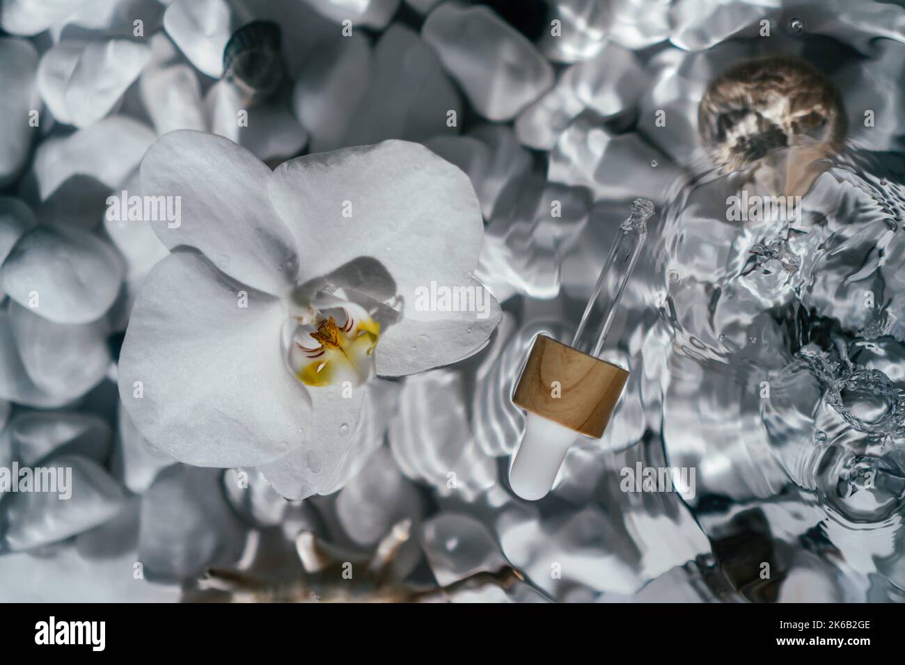 White orchid with facial pipette serum oil, essence cosmetic product on ...