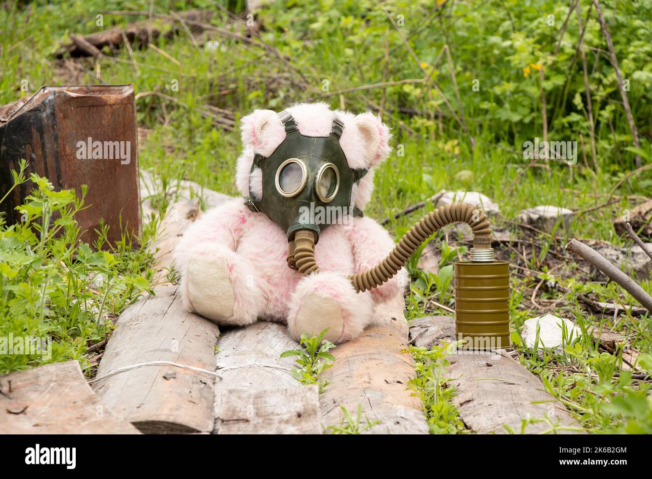 A teddy bear in a gas mask lies on the ground in the grass, gas attack ...