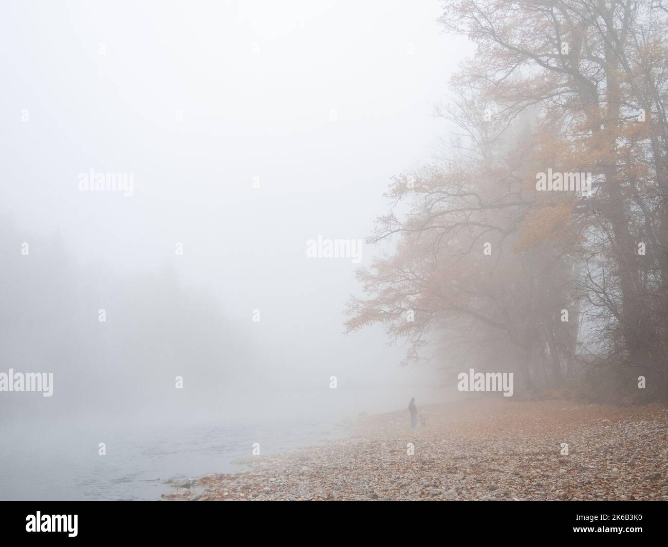 Autumn misty morning. Autumn dawn scene. foggy riverbank. Misty autumn ...