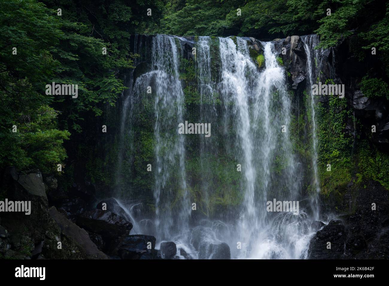 A beautiful shot of the splashing flowing Cheonjeyeon waterfall in Jeju ...