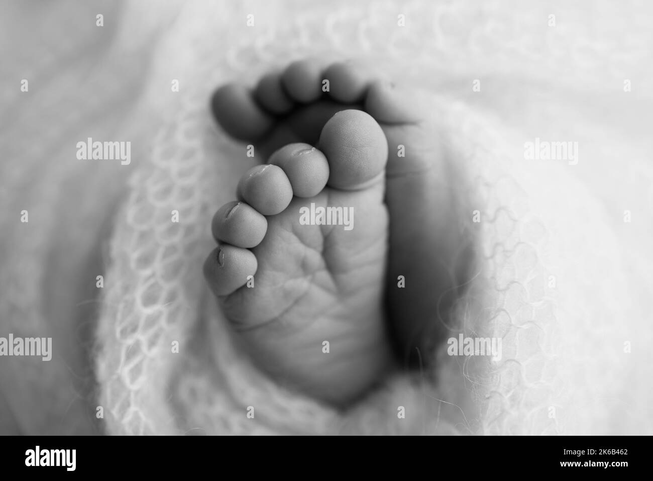 Soft feet of a newborn in a woolen blanket. Close up of toes, heels and ...