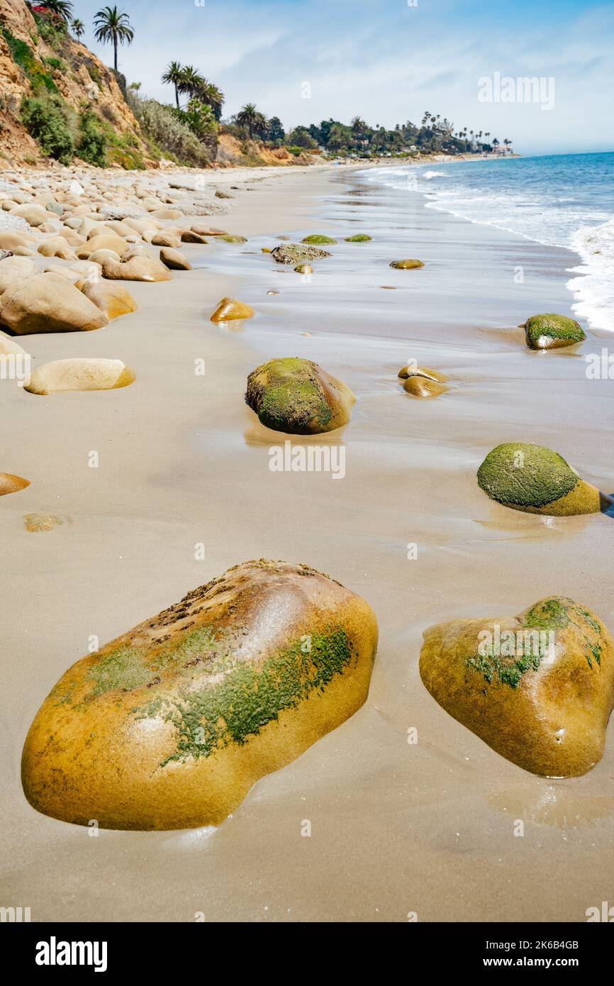 Big yellow stones with algae on Butterfly beach in Santa Barbara ...